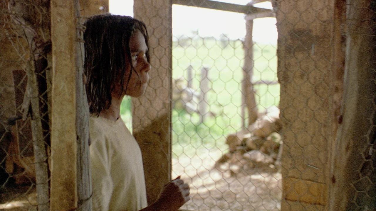Rabbit-Proof Fence - Official Site - Miramax